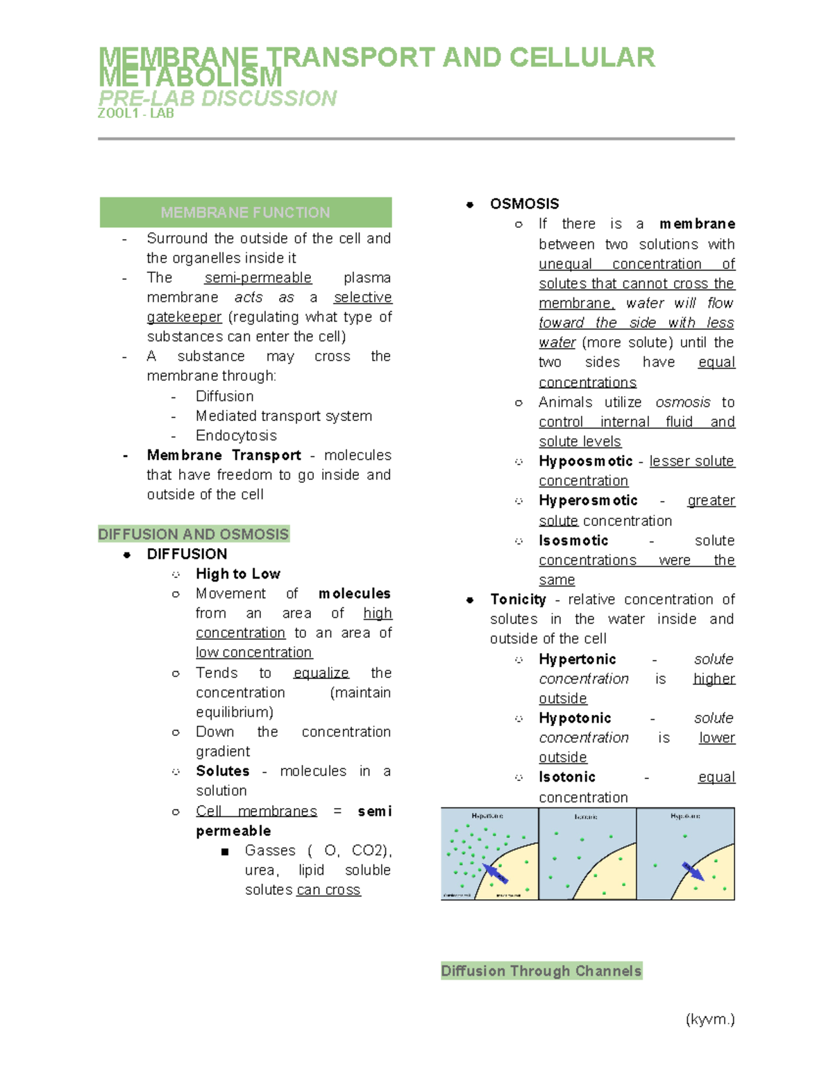 LAB4 - CELL Respiration AND Membrane Transport - MEMBRANE TRANSPORT AND ...