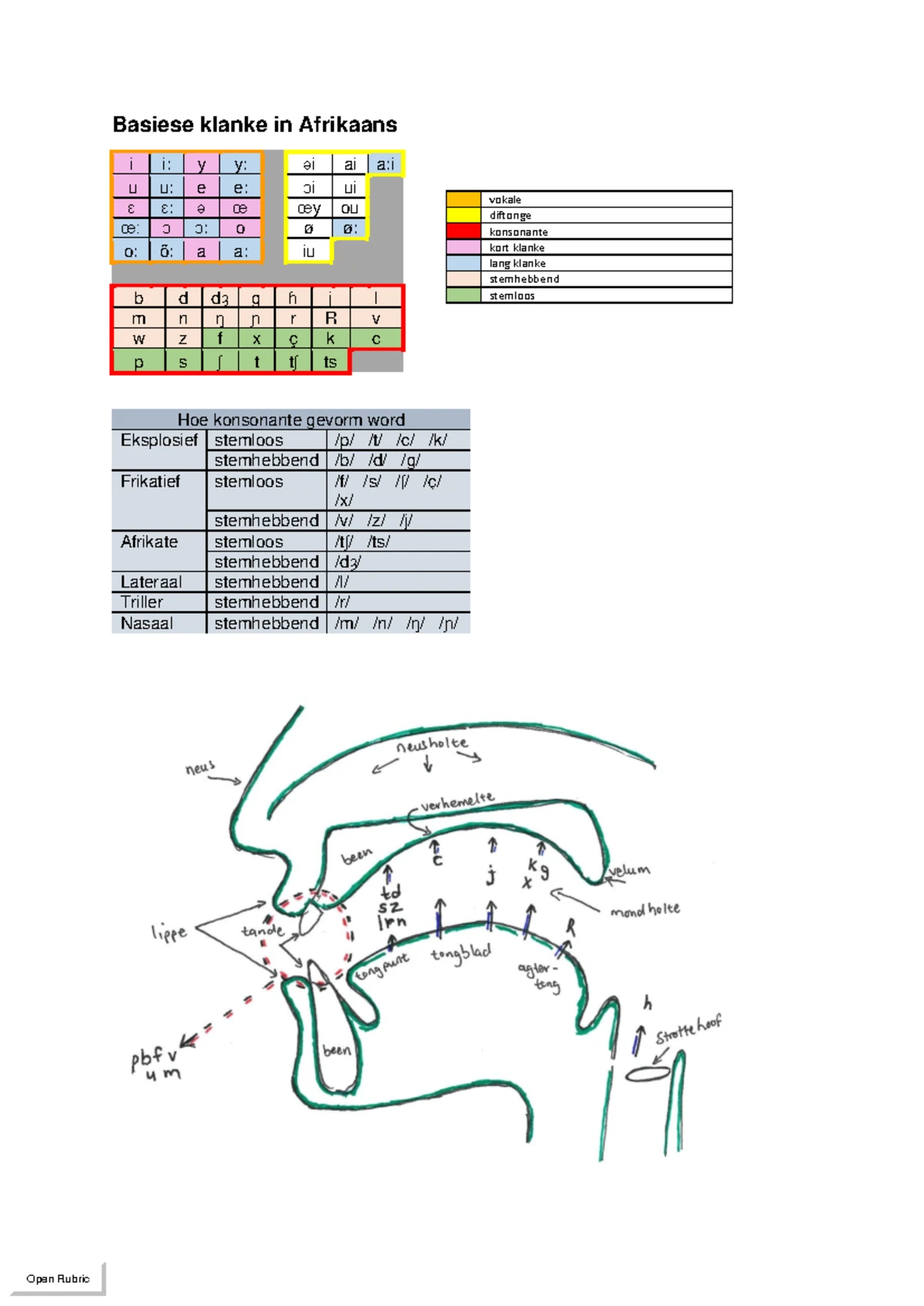 Bylaag 1 Fonetiek - prac - LES 1: KLANKLEER 1 (FONETIEK) OORSIG In ...