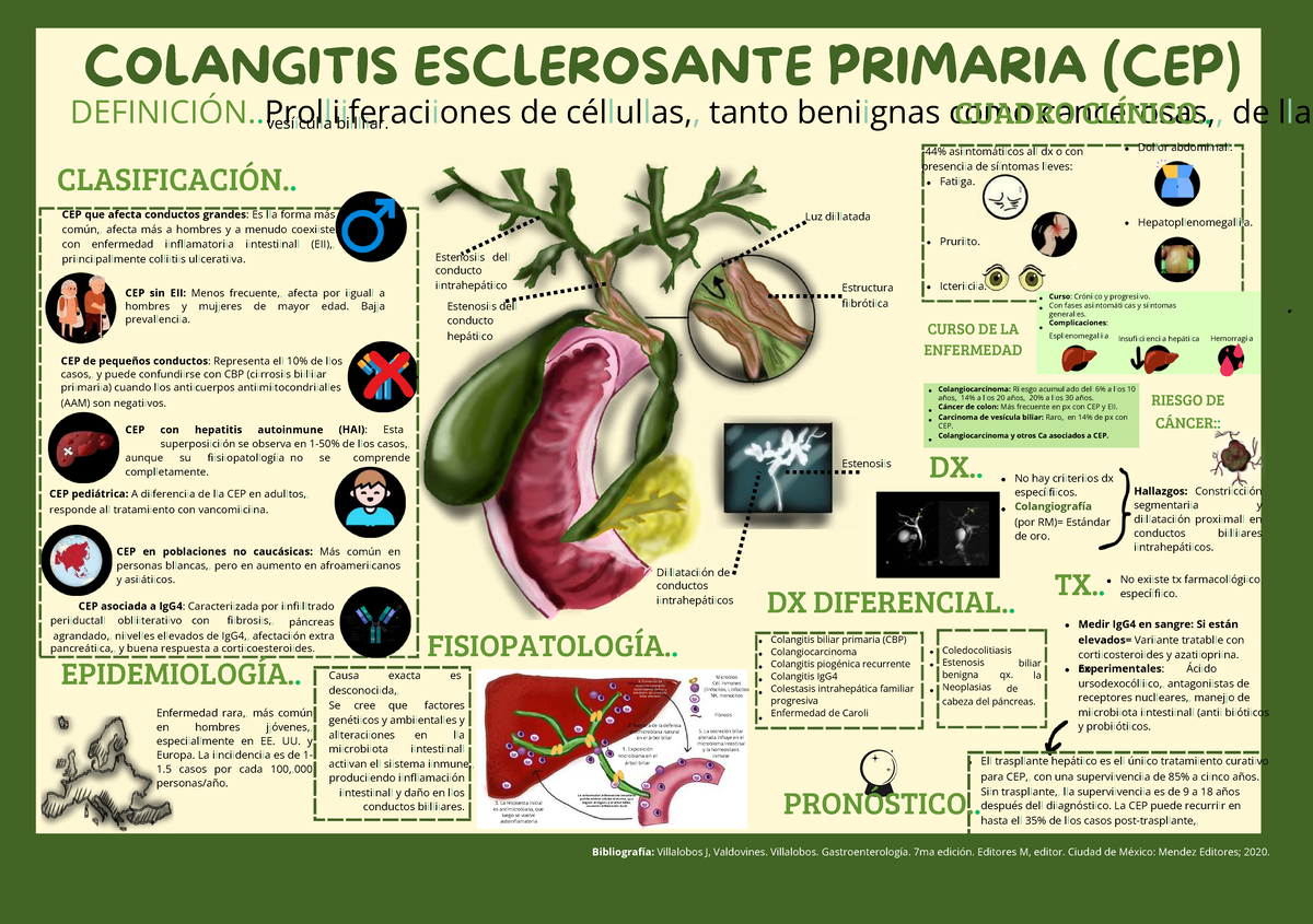COLANGITIS ESCLEROSANTE PRIMARIA (CEP): DEFINICIONES Y CLASIFICACIÓN ...