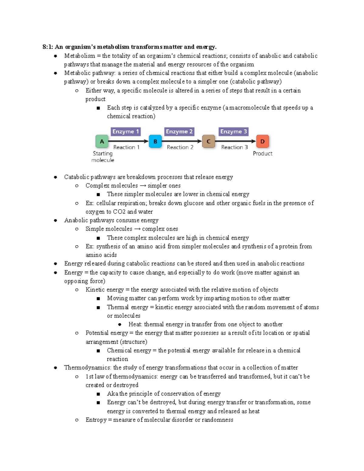 BIO 141 - Chapter 8 - Campbell Biology - 8:1: An organism’s metabolism ...