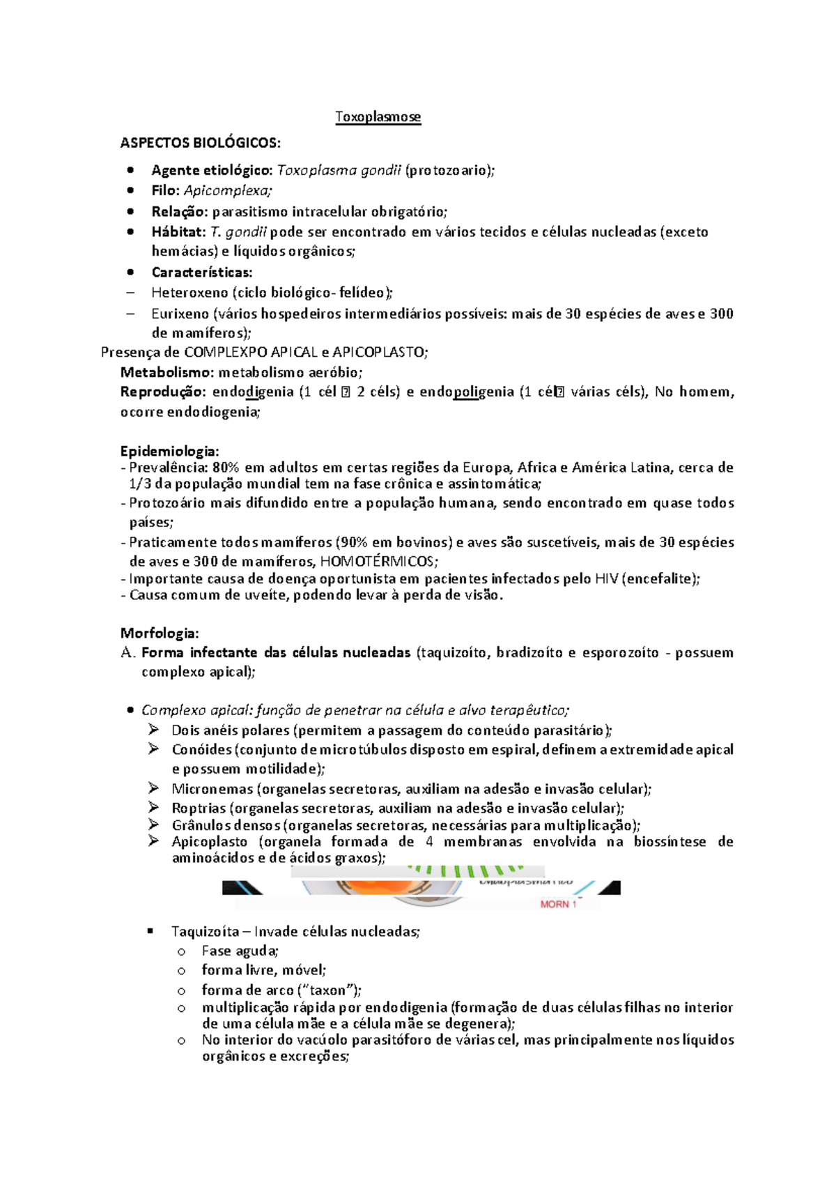 Resumo de Toxoplasmose - Parasitologia Geral (Curso: PAR 101) - Studocu