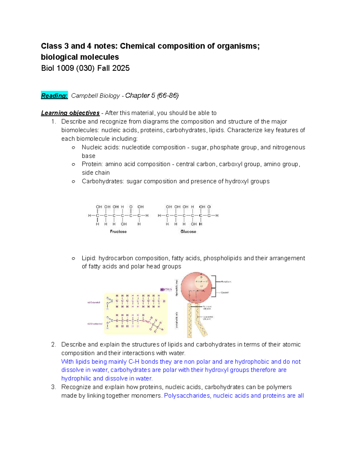 Class Notes: Biomolecules and Their Functions - BIOL 1009 (030) Fall ...