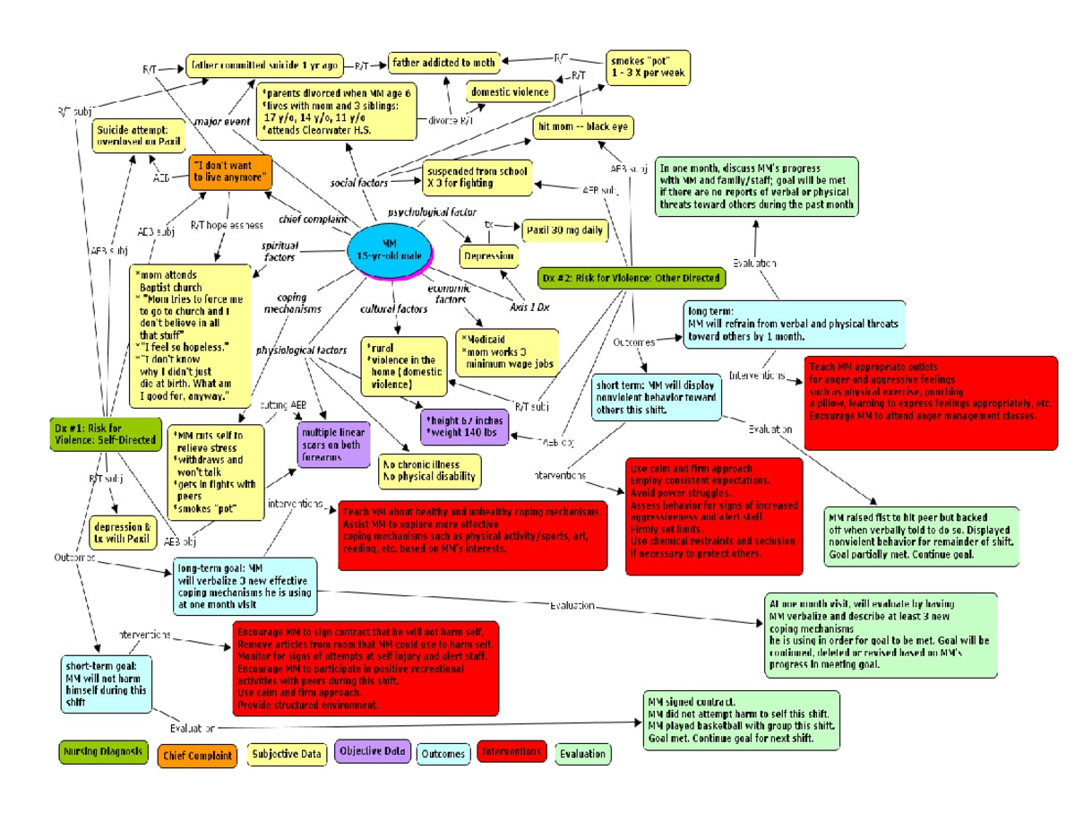 Suicide Ideation Concept map example - i ici father addicted to meth ...