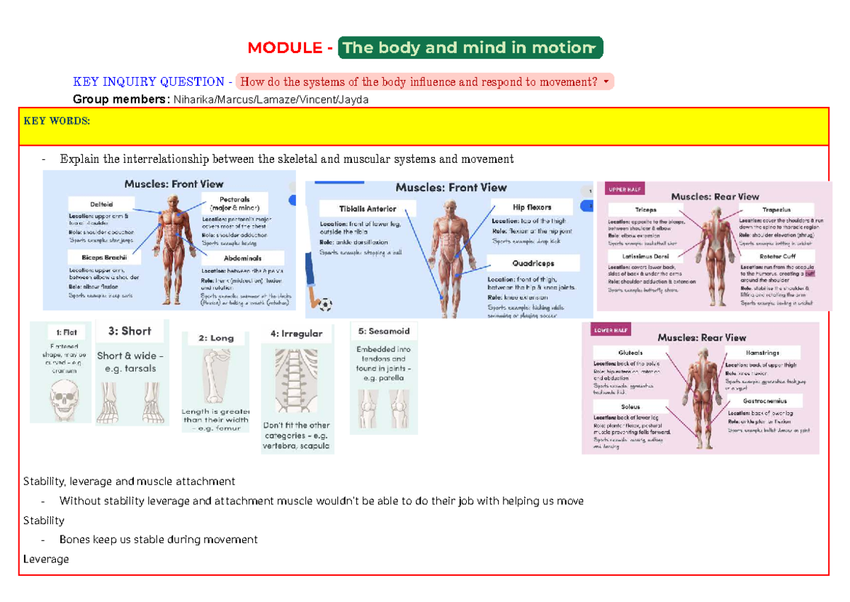 PAPN Study Notes - Focus Area 2: Body Systems & Movement Dynamics - Studocu