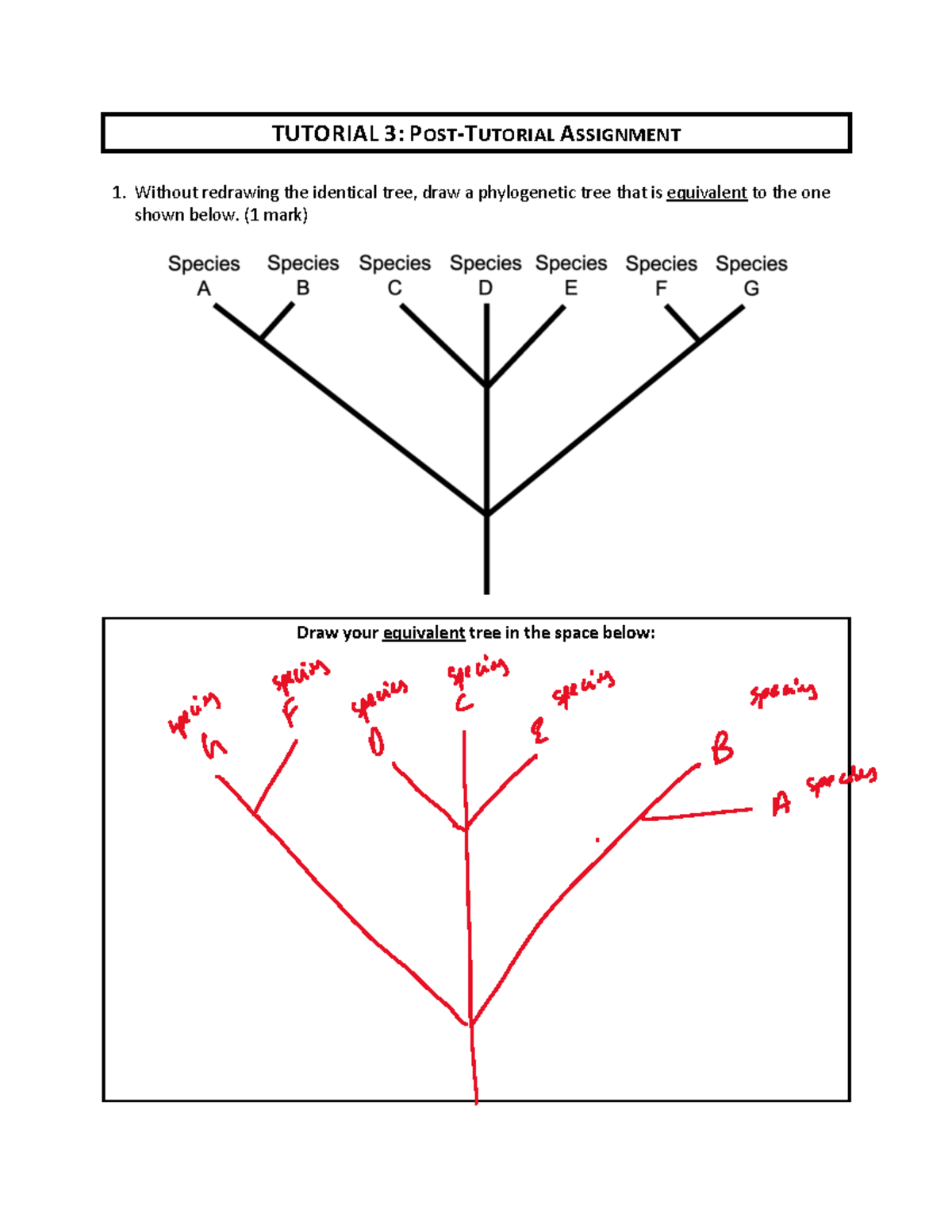 TUTORIAL 3: PHYLOGENETIC TREE ASSIGNMENT & ANALYSIS - Studocu