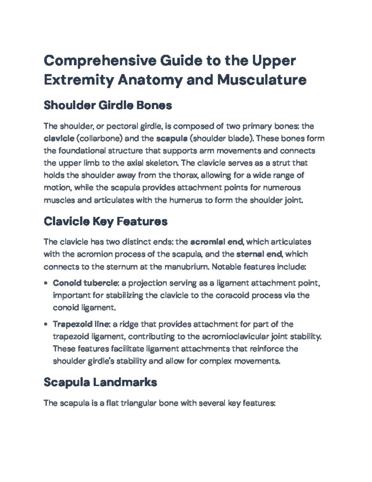 Upper Extremity Anatomy & Function: A Comprehensive Guide - Studocu