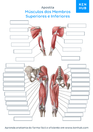 A Escala ASIA para lesão medular – o guia do fisioterapeuta - A Escala ...
