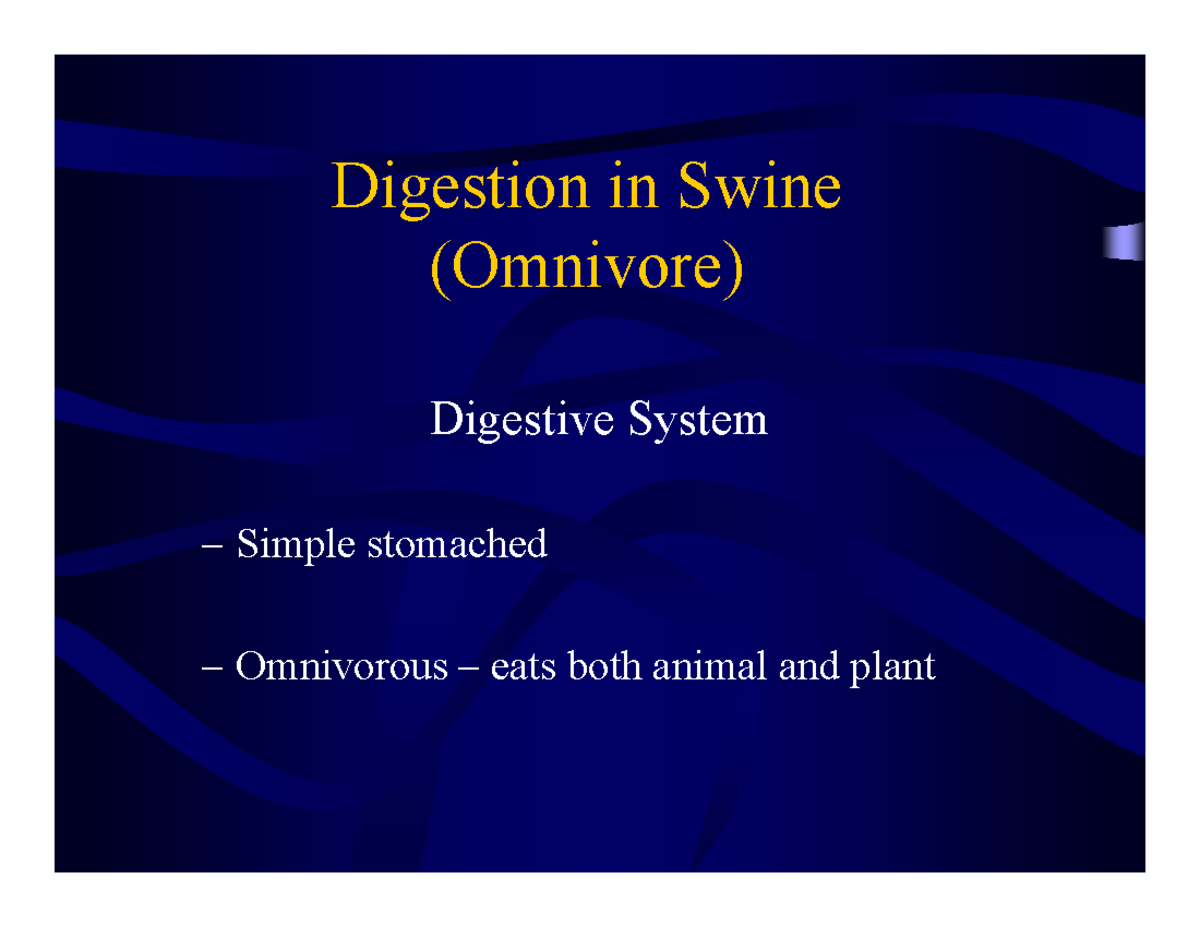 Digestion in Swine (ANSC 101): Detailed Overview of the Digestive ...