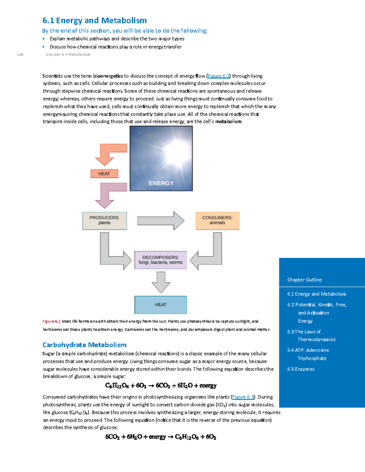 Energy and Metabolism: Understanding Pathways in Biochemical Reactions ...