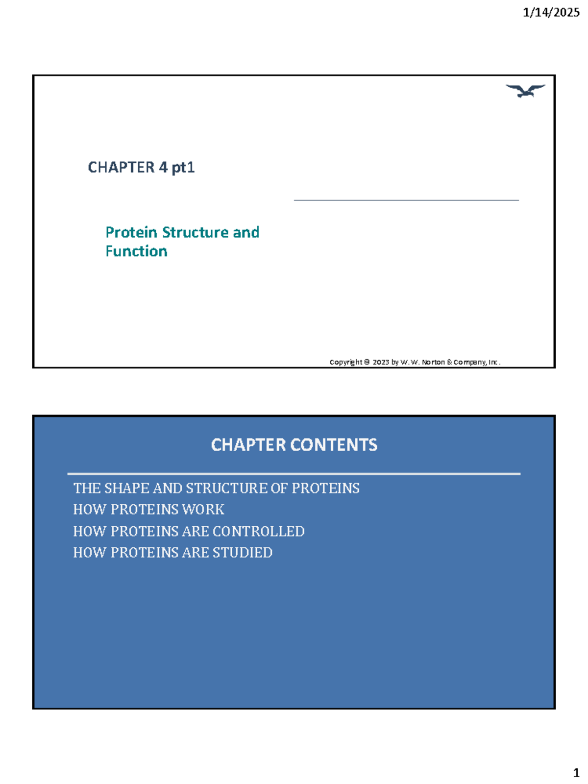 Chapter 4 Part 1: The Shape and Structure of Proteins in Essential Cell ...