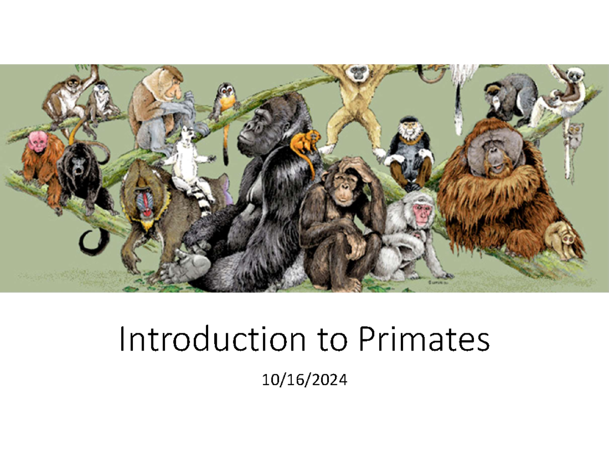 Understanding Primate Traits and Evolution - Intro to Primates (Biol101 ...