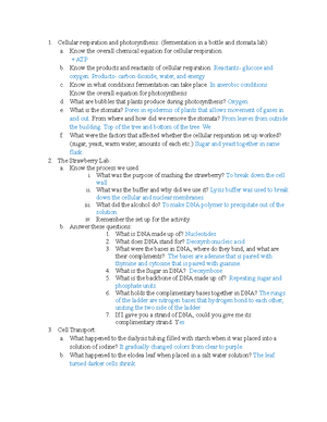 Stomata lab - Counting Leaf Stomata Introduction Plants and animals ...