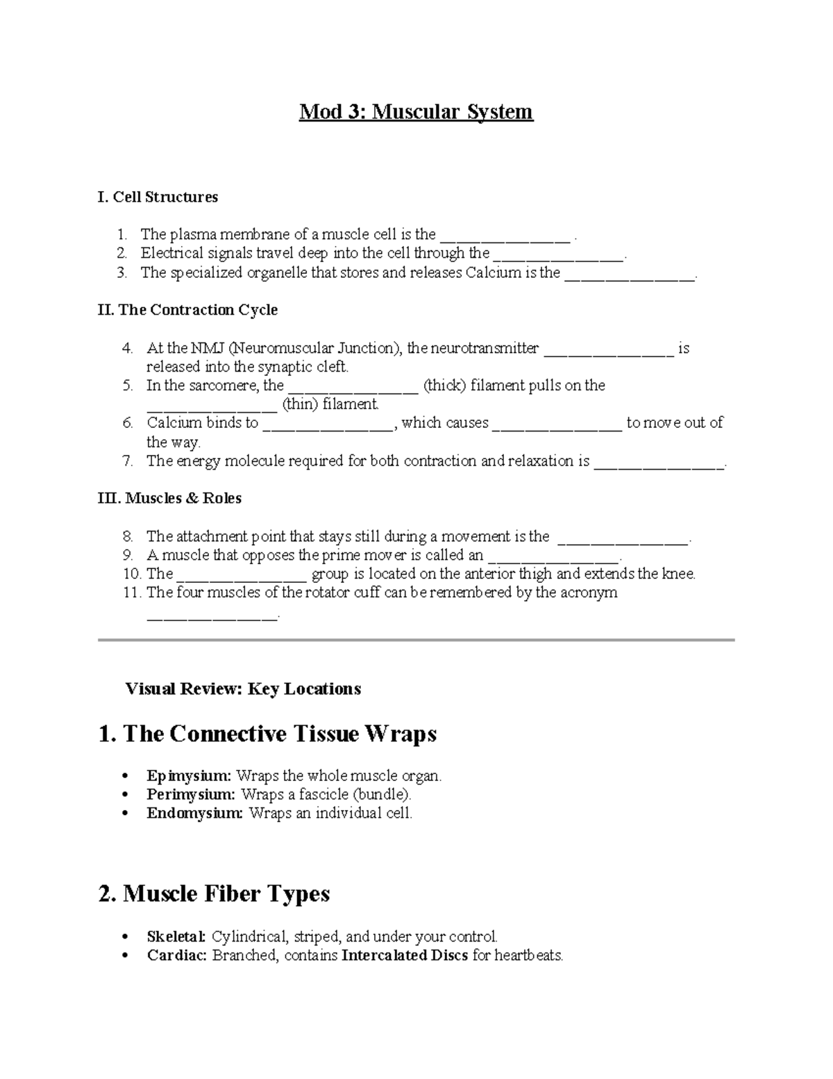 BIO 201 A&P Module 3 Study Guide: Muscular System Overview - Studocu