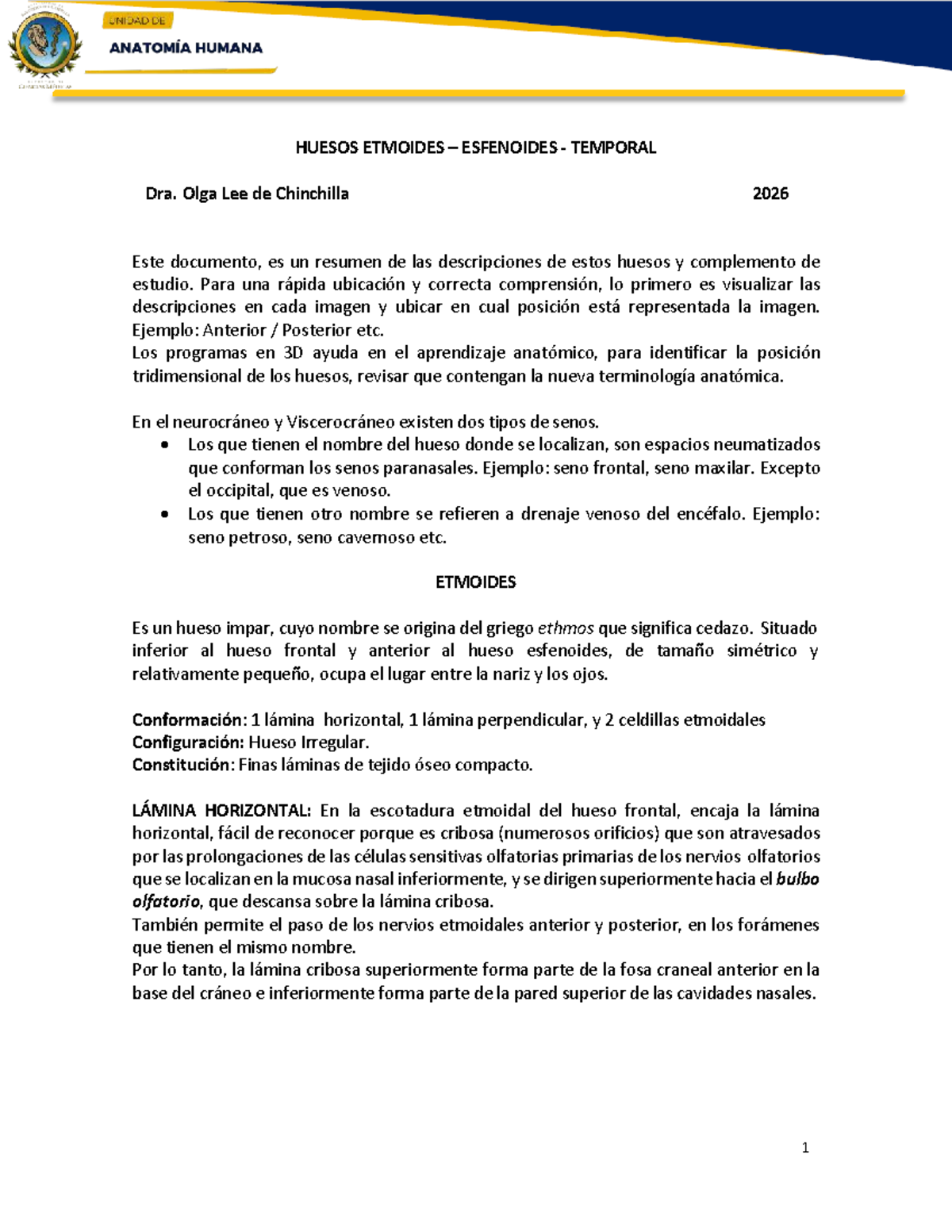 HUESOS DEL NEUROCRÁNEO: ETMOIDES, ESFENOIDES Y TEMPORAL - Dra. Olga Lee ...