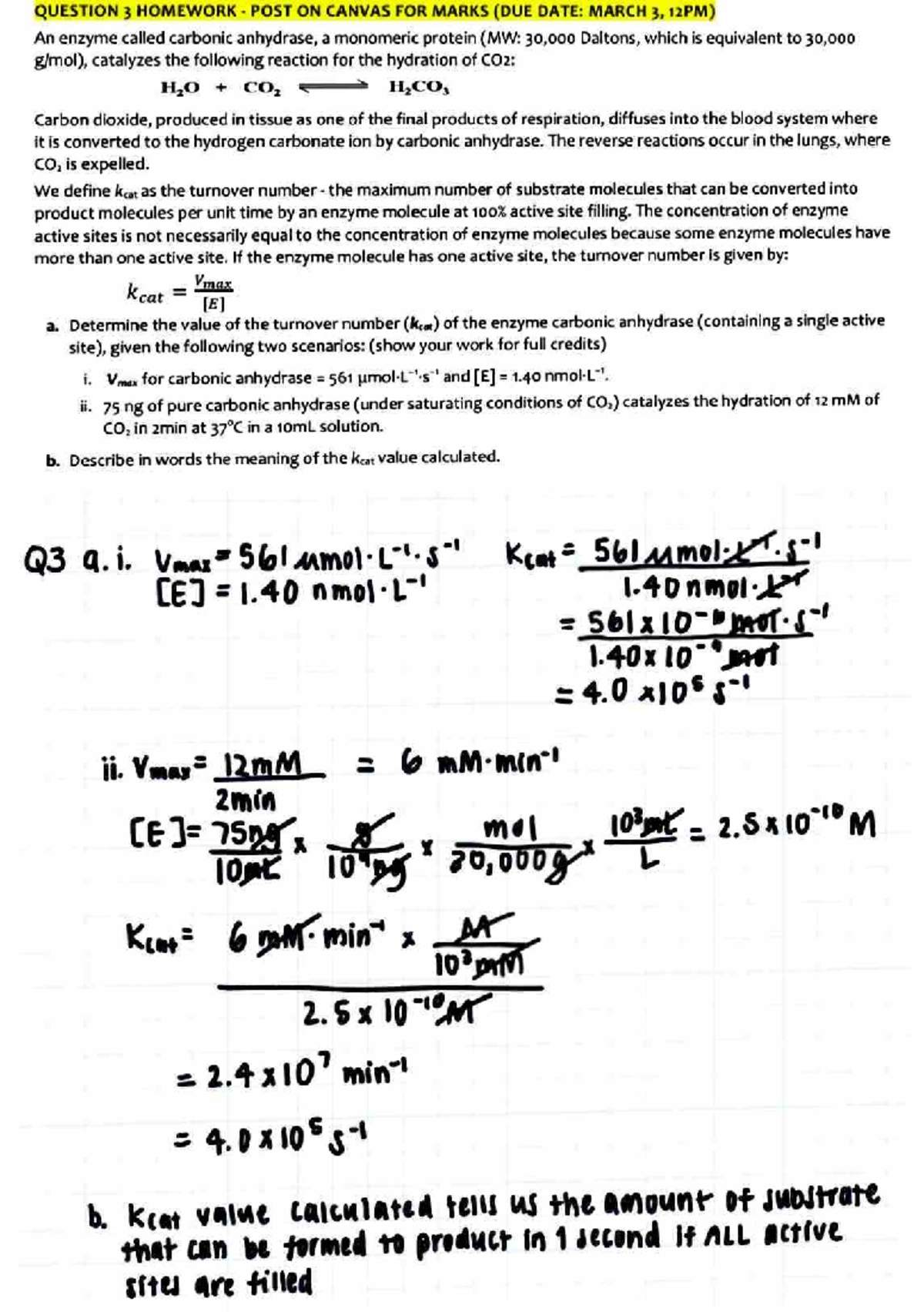 BIOL 201 Problem Set 5 Homework - Enzyme Kinetics Questions - Studocu