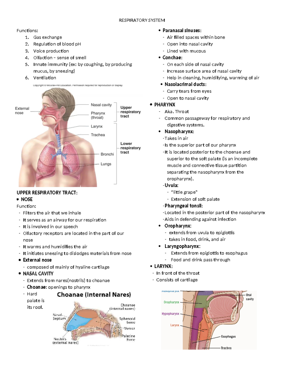 Respiratory System Review: Functions, Anatomy, and Gas Exchange - Studocu