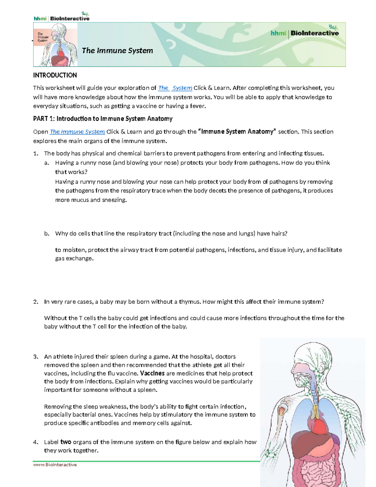 Immune System Overview and Vaccine Importance - BIO 101 Worksheet - Studocu