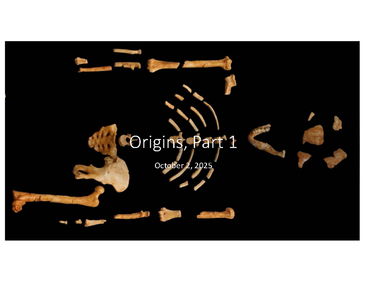 Class Lecture on Human Origins and Hominin Evolution (Origins, Part 1 ...