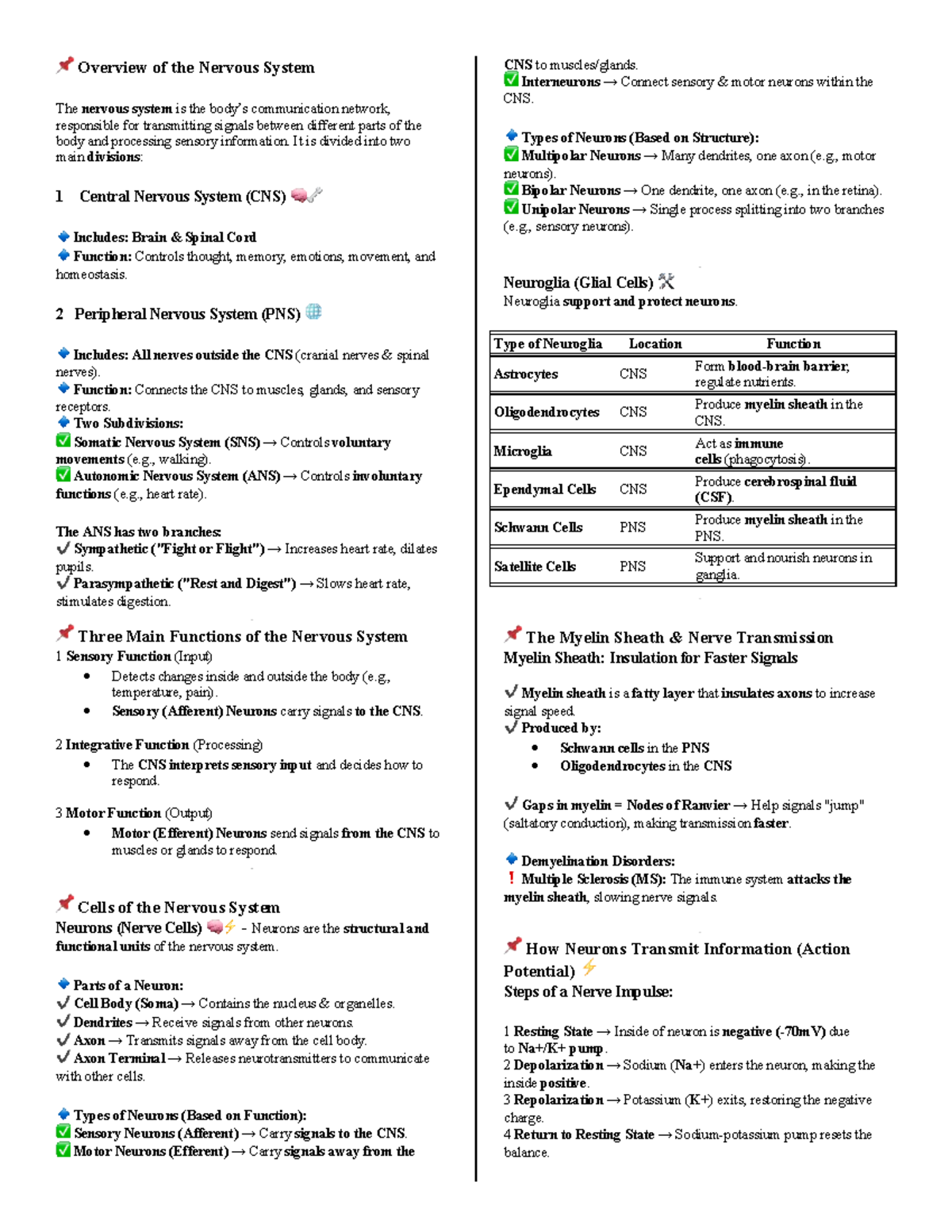 AP1 - Comprehensive Nervous System Study Guide - Studocu