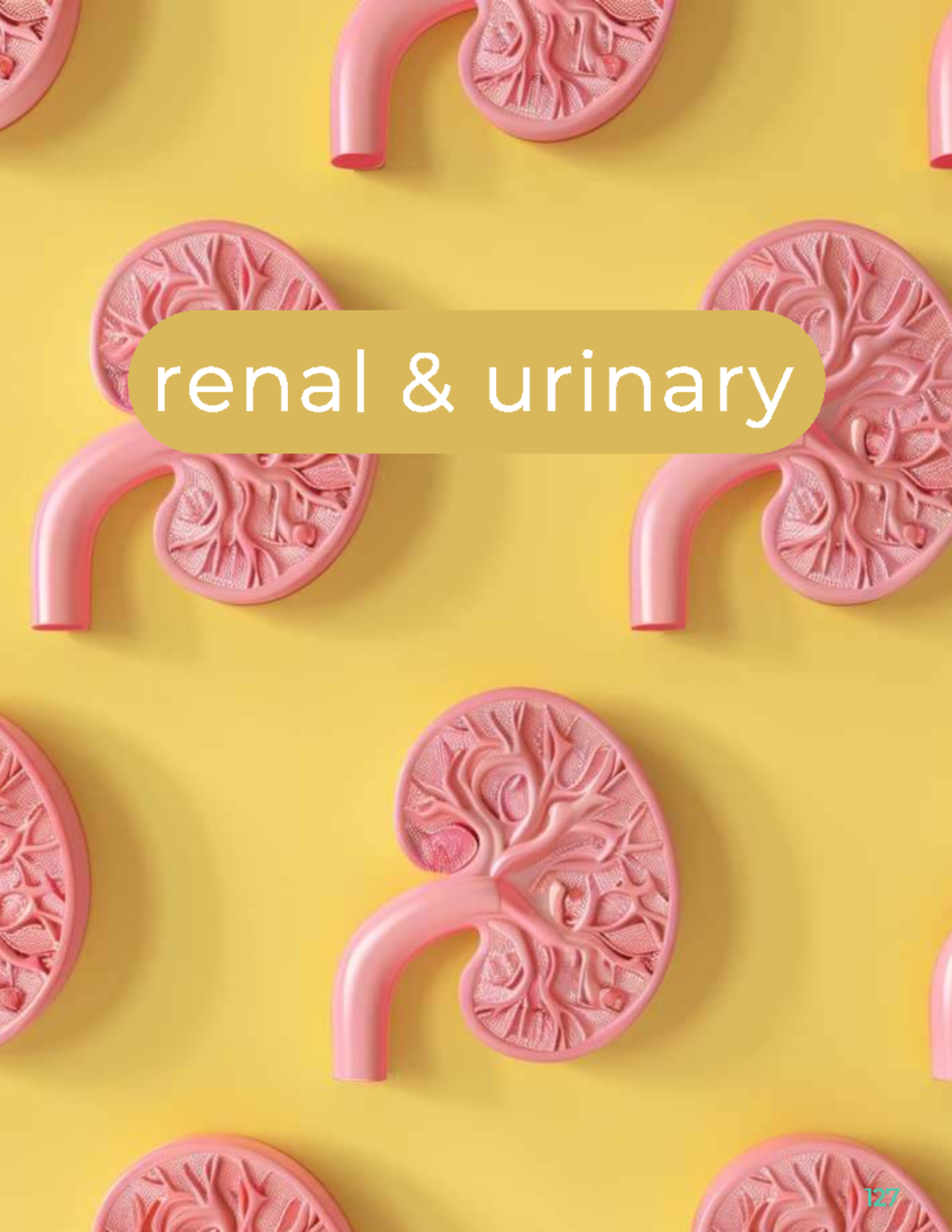 Nursing Mastery: Renal & Urinary System Overview (Course Code: NUR 137 ...