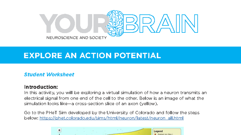 BIO Worksheet: Exploring Action Potentials in Neuroscience - Studocu