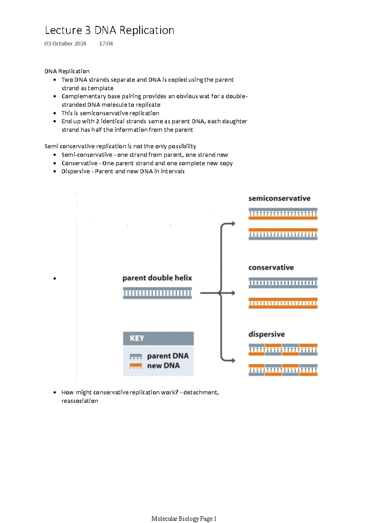 Lecture 3: DNA Replication Notes (Molecular Biology) - Studocu