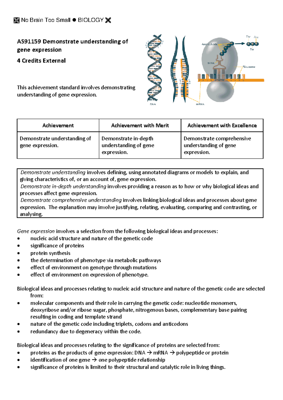 Bio2 AS91159 Gene Expression Study Guide Outline - Studocu