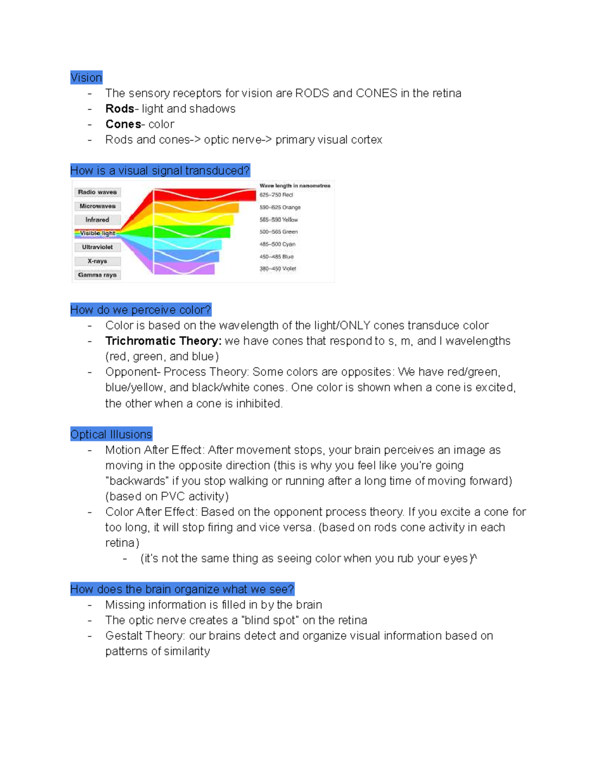 Visual Perception & Color Processing: PSYCH 9-12-25 Lecture Notes - Studocu
