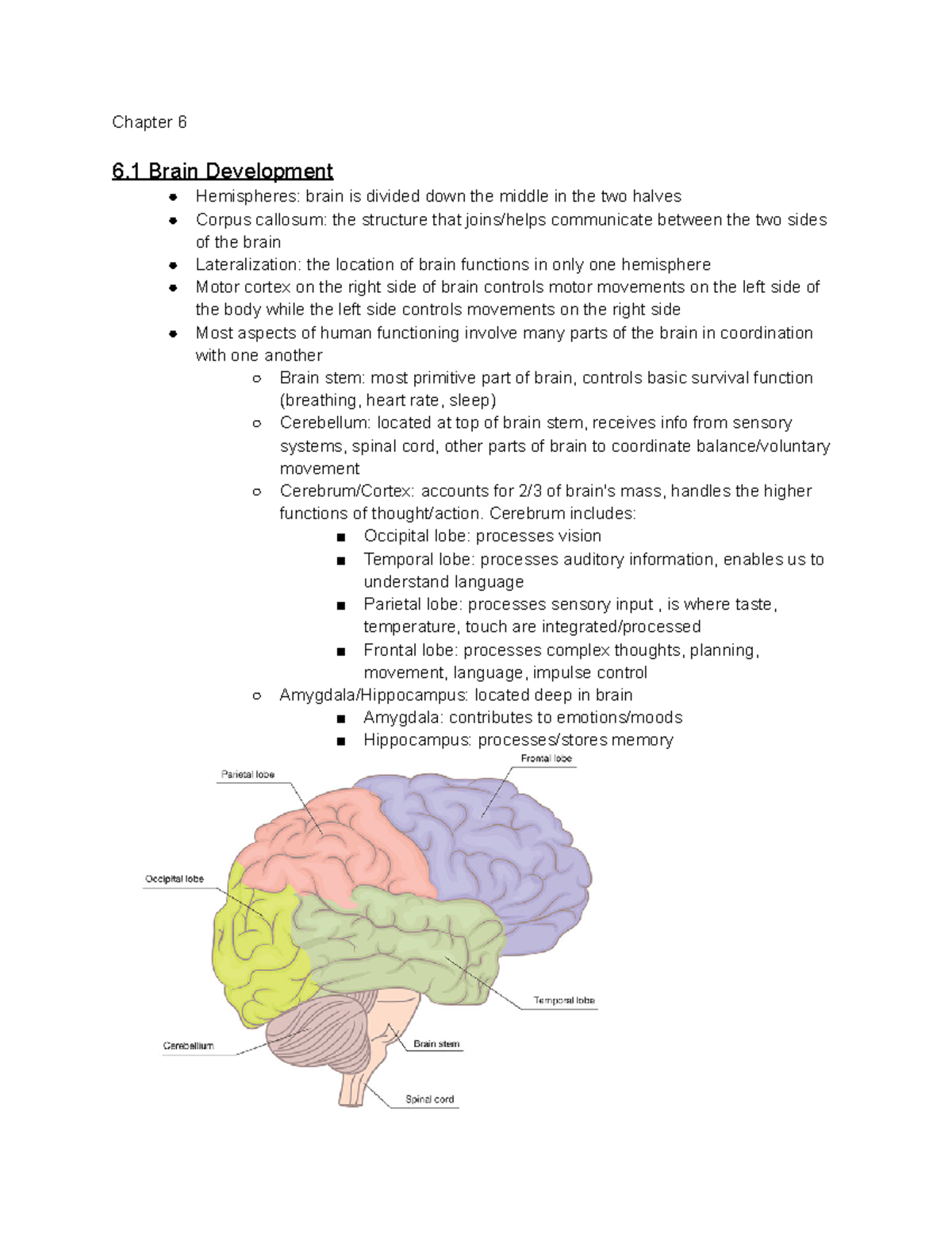PSYC 215 Study Notes: Chapters 6-9 Overview with Sara Piscani - Studocu