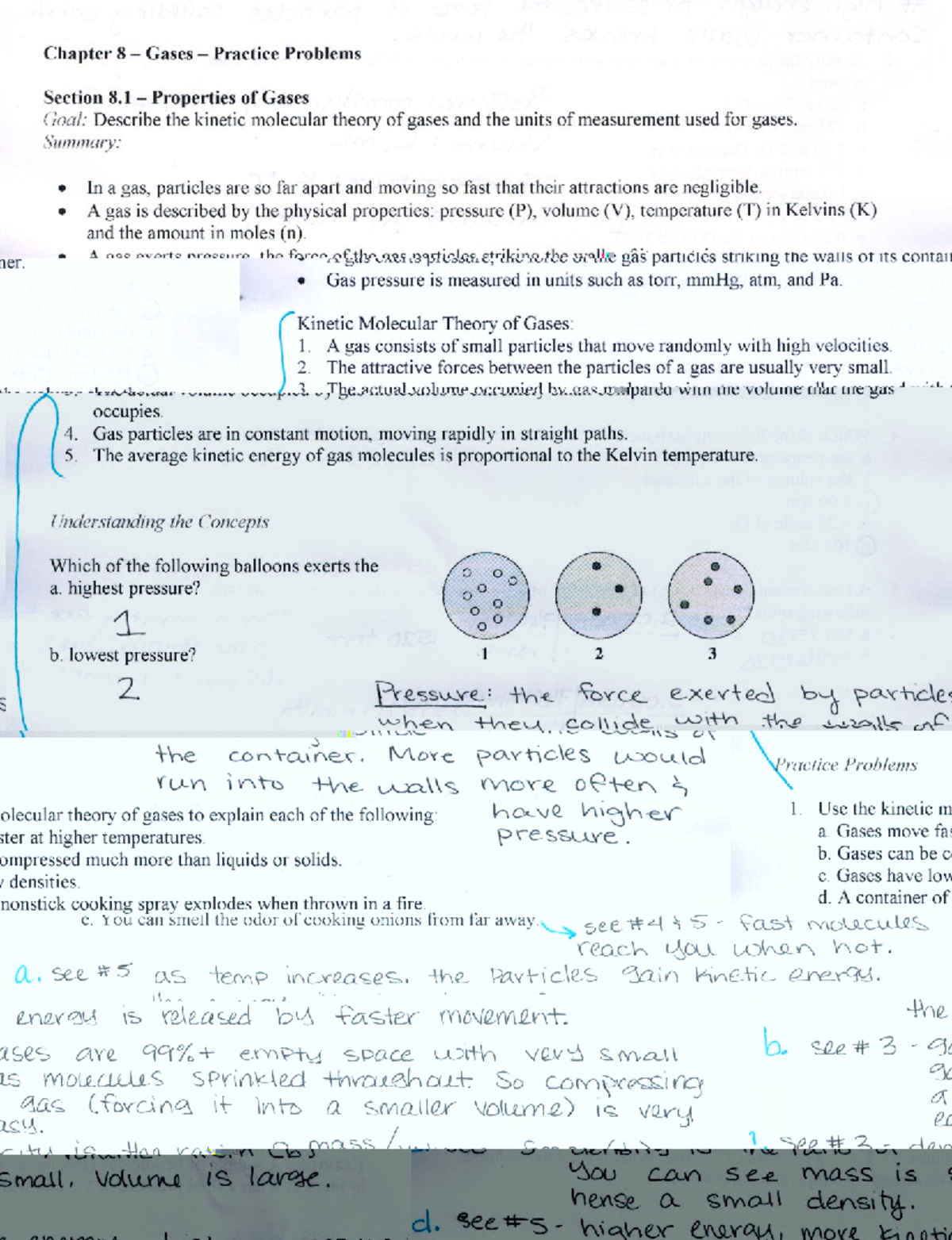 Ch08 practiceproblems key 0001 - BS Biology - Studocu
