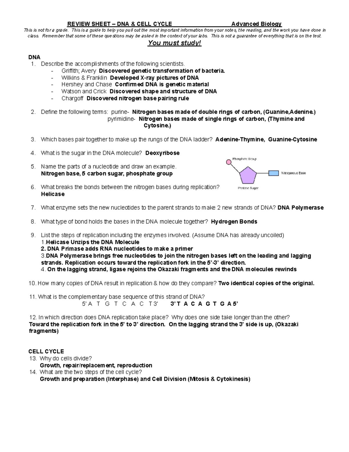 Advanced Biology Review Sheet: DNA & Cell Cycle Concepts - Studocu