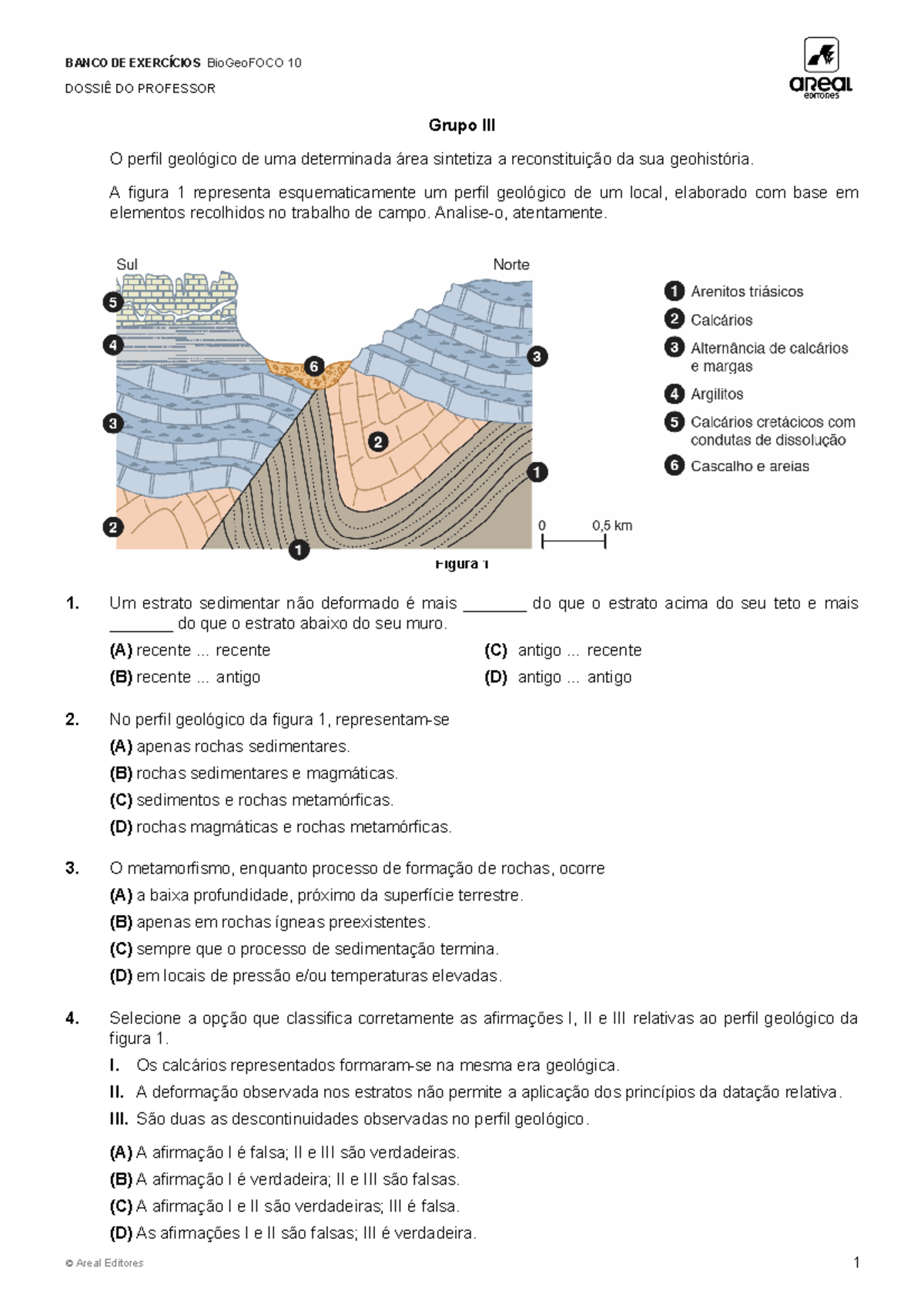 Geologia 10 Ano - Exercícios sobre Perfis Geológicos e Metamorfismo - Studocu