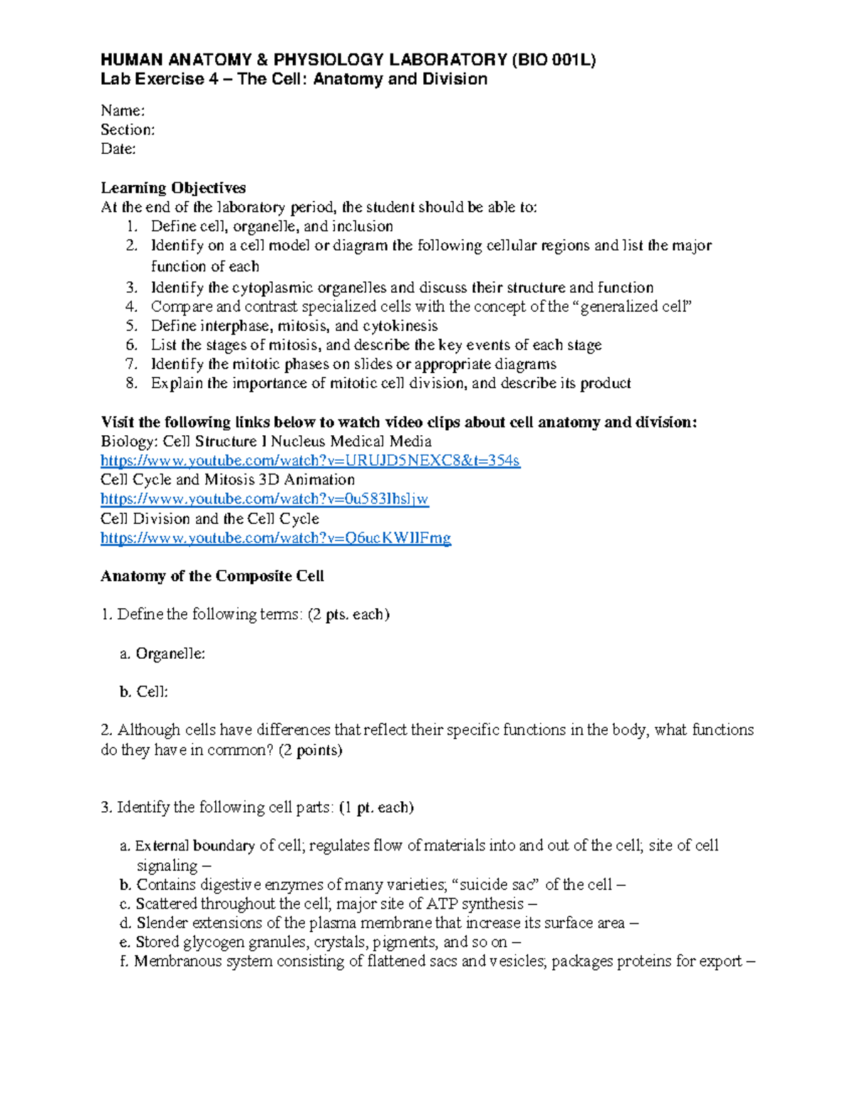Lab Exercise 4: Cell Anatomy & Division Concepts and Objectives - Studocu