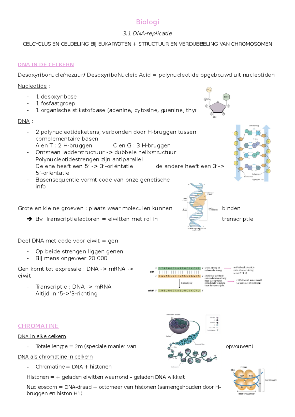 Biologie 3 - bio - Biologi 3 DNA-replicatie CELCYCLUS EN CELDELING BIJ ...