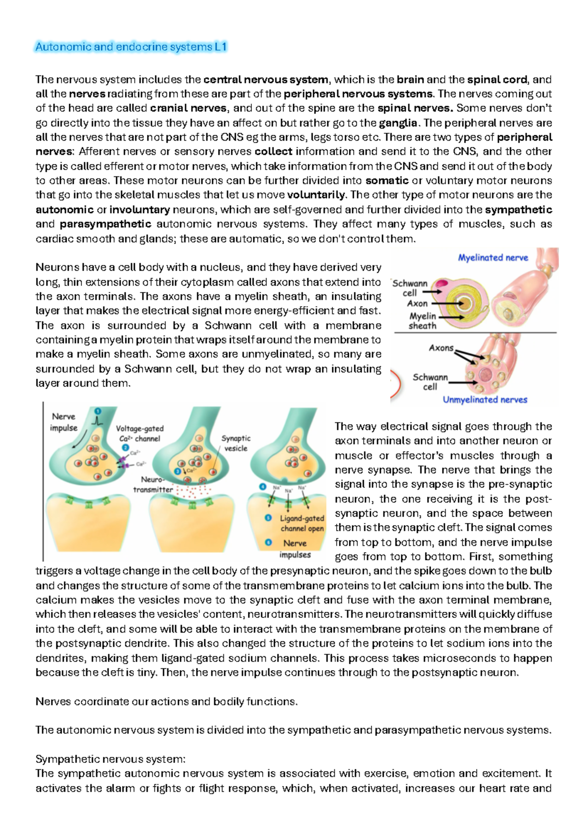L2 Autonomic & Endocrine Systems: Stress Response Overview - Studocu
