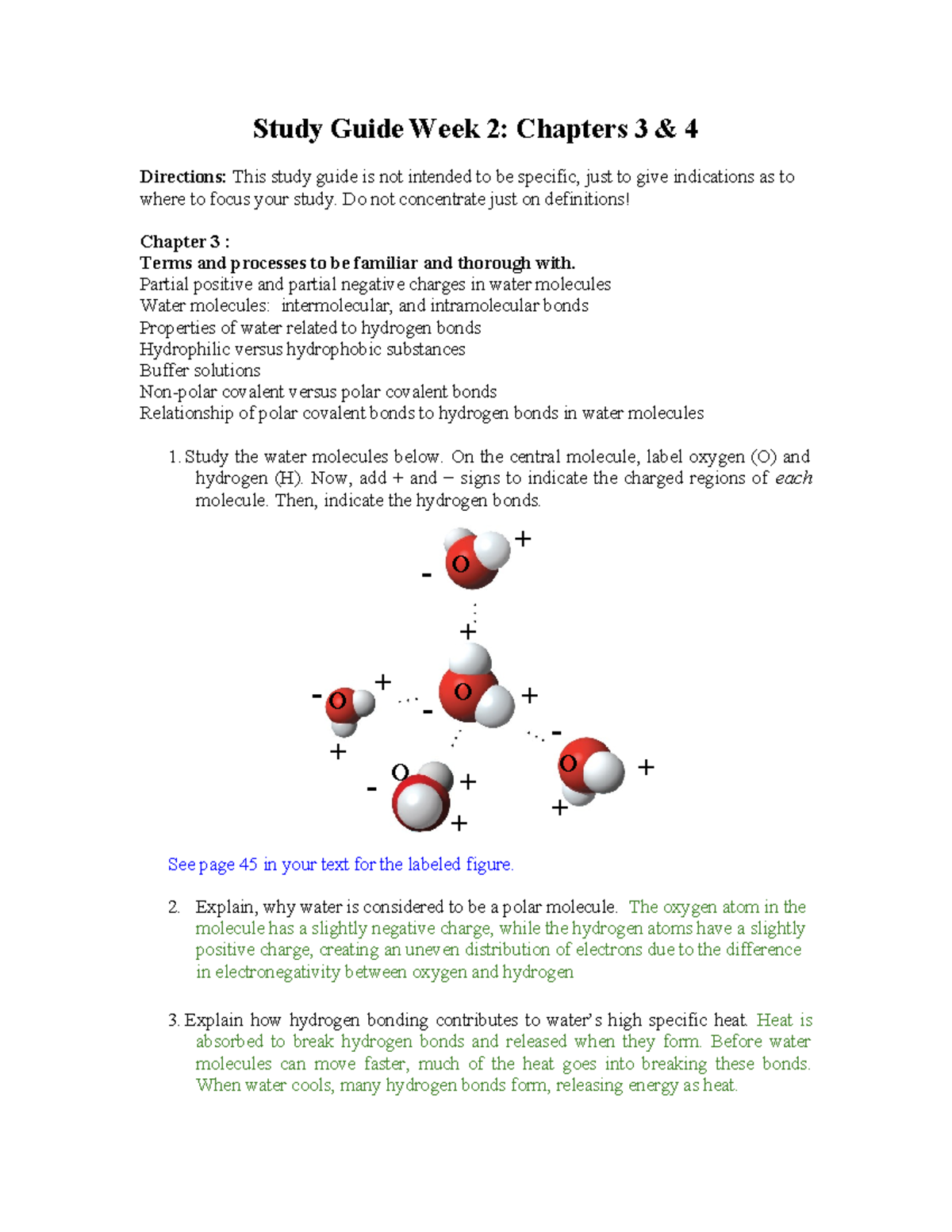 Study Guide for Biology: Chapters 3 & 4 Key Concepts - Studocu