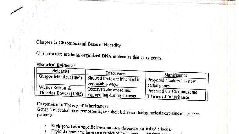 Chapter 2: Chromosomal Basis of Heredity - Lecture Notes - Studocu
