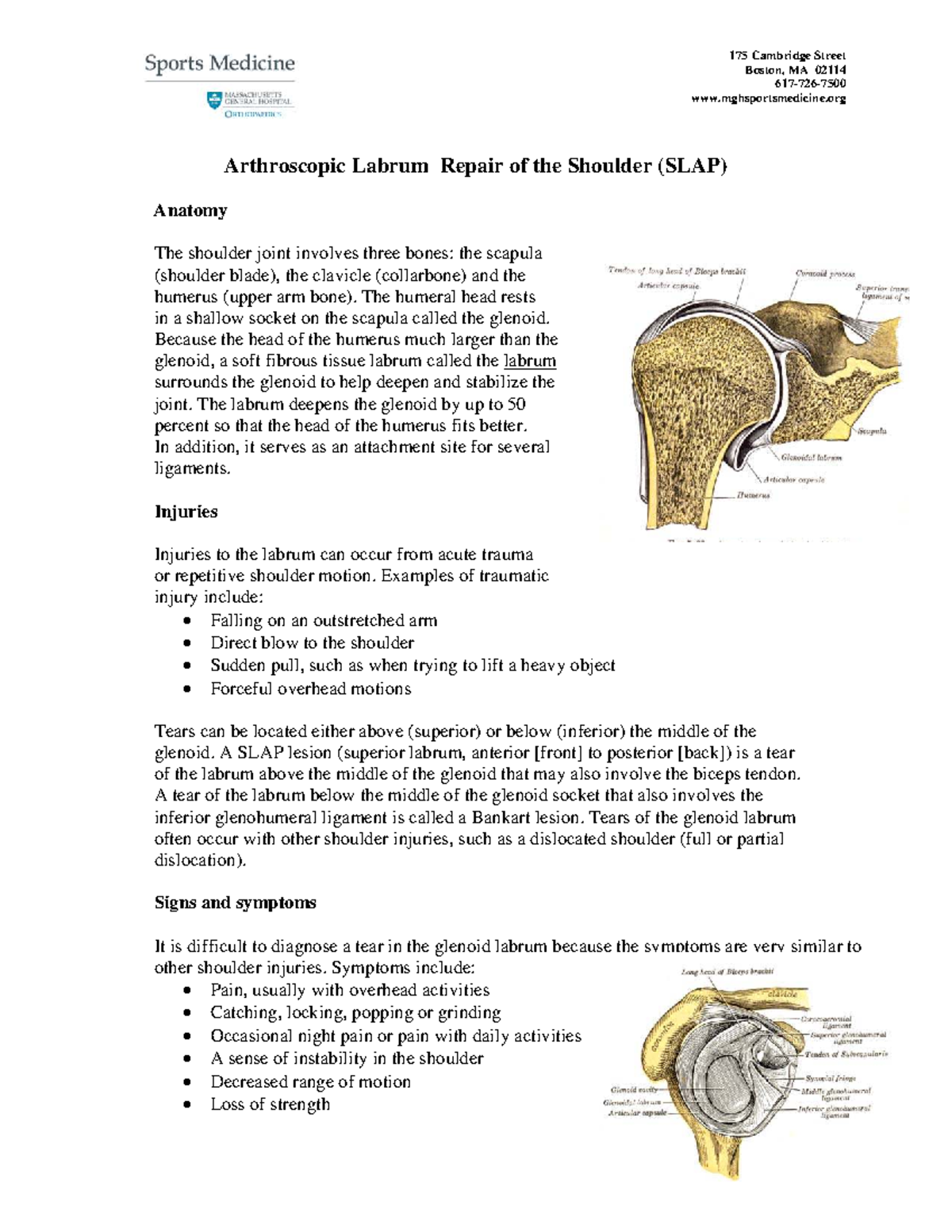 Rehabilitation-protocol-for-superior-labrum-anterior-and-posterior-slap ...