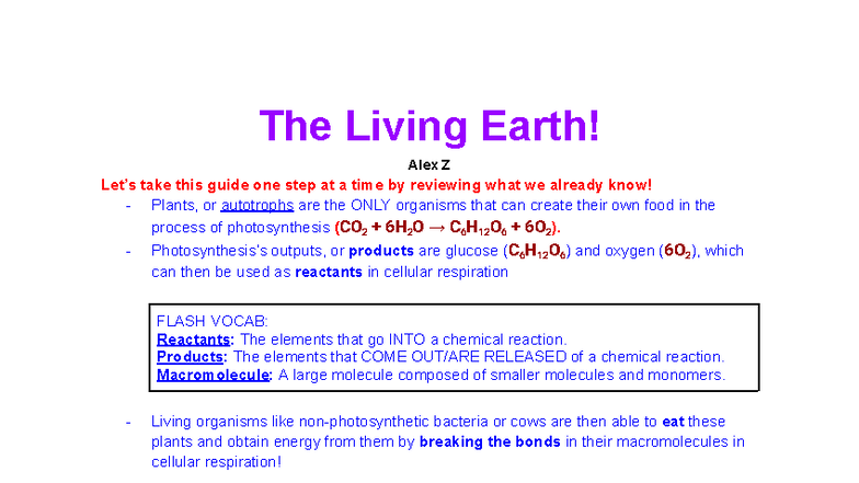 Biology 101: Photosynthesis Unit Study Guide and Ecosystem Overview ...