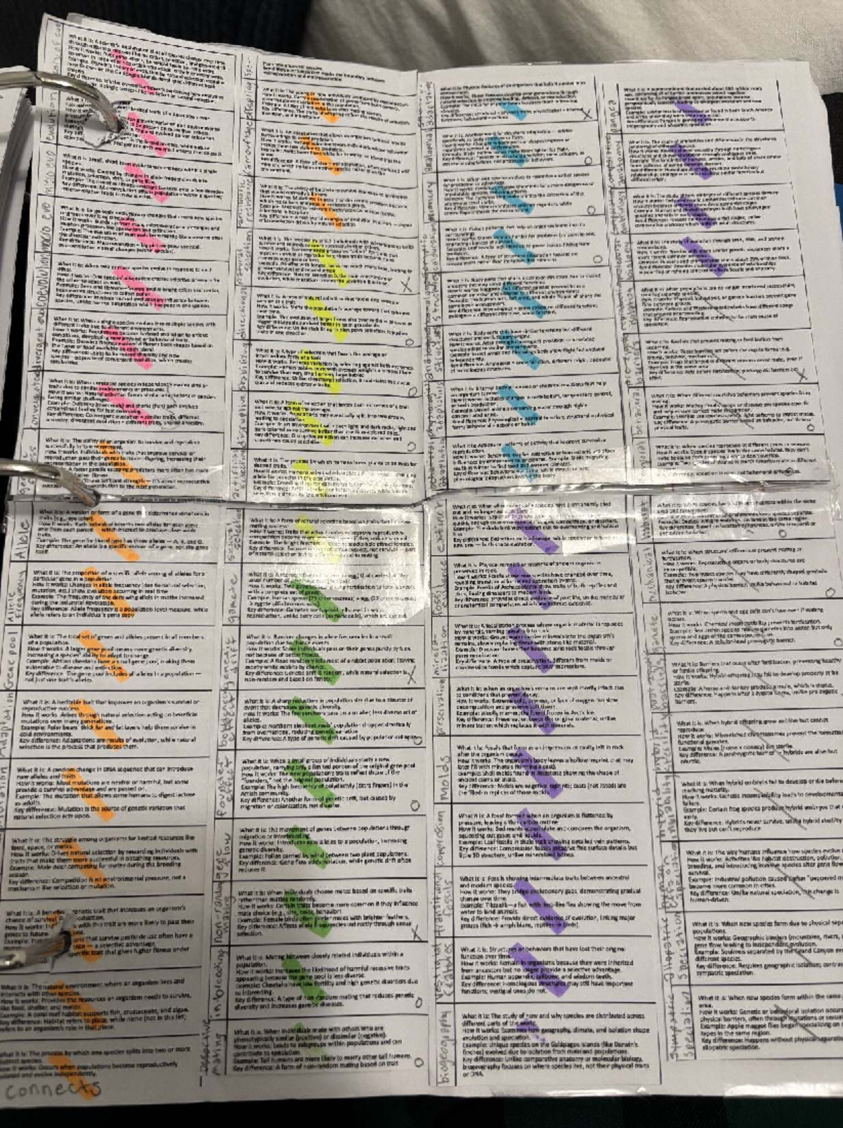 Evolution and Diversity Test (BIO 101) - Key Concepts and Mechanisms ...
