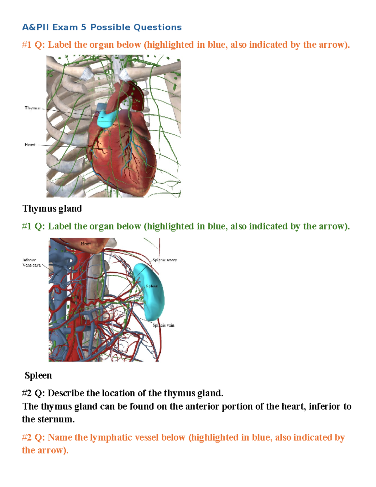 A&P II Mod 5 Exam Review: Lymphatic System & Immune Responses - Studocu