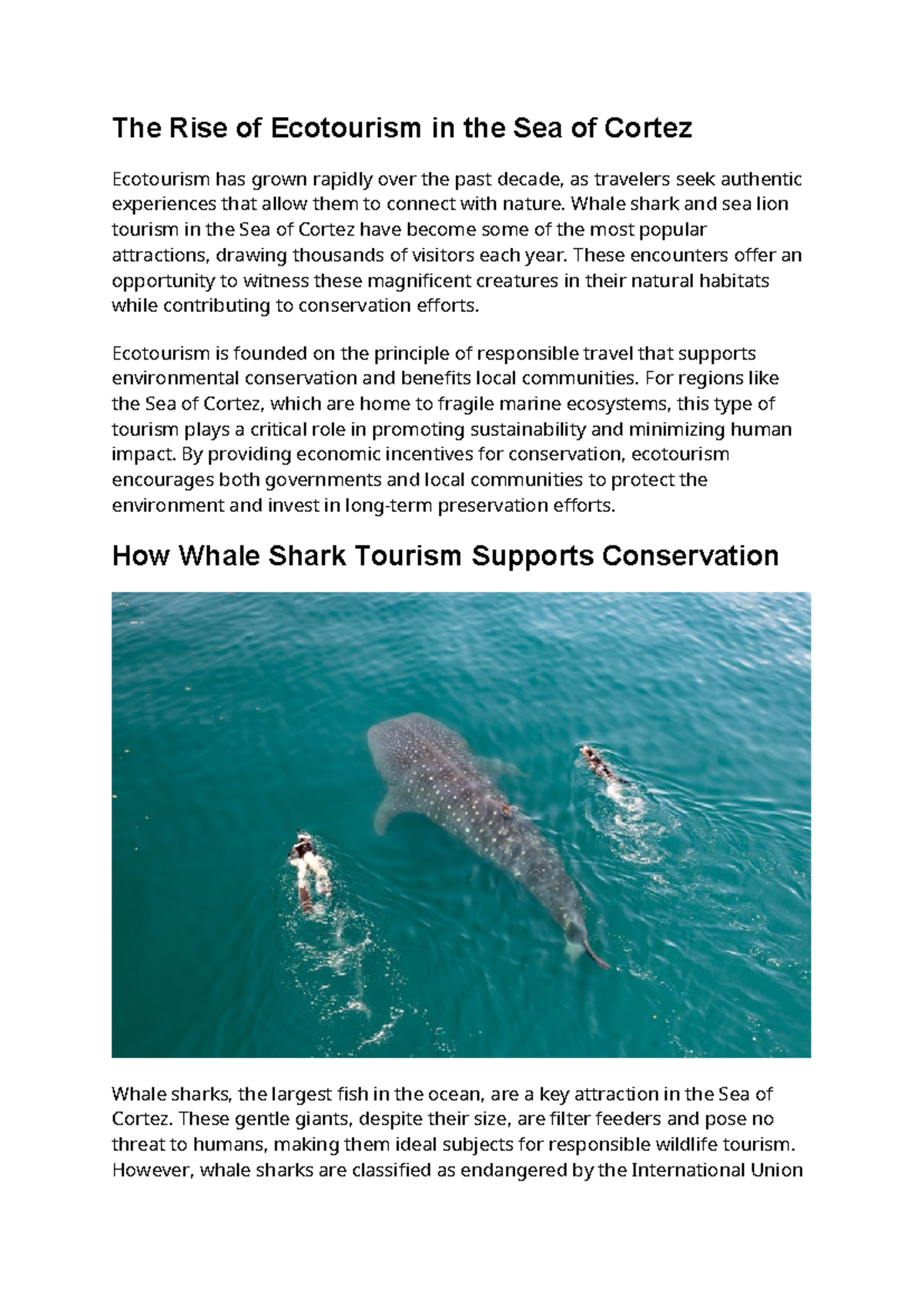 ECOT 301: Ecotourism's Role in Whale Shark & Sea Lion Conservation ...
