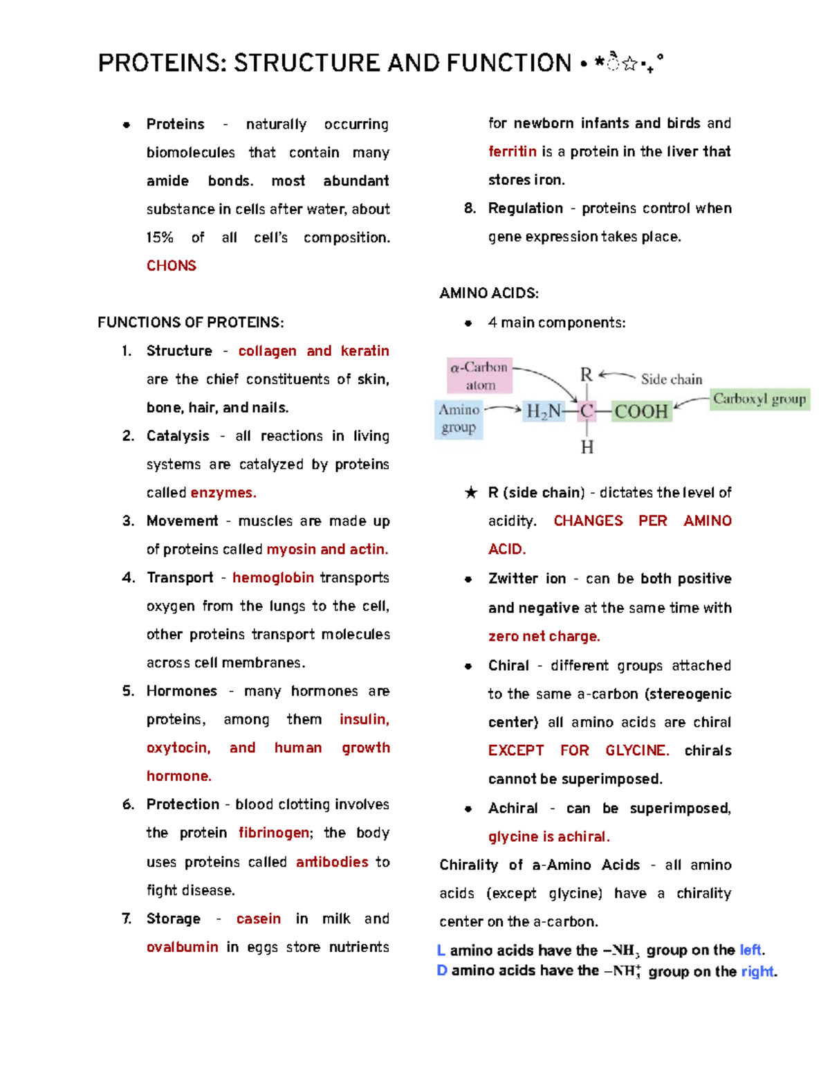 Biochem - Proteins: Structure, Function, and Amino Acids Overview - Studocu