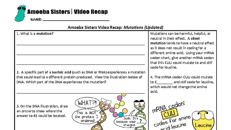 Mutations - Amoeba Sisters Video Recap (Updated) - Studocu