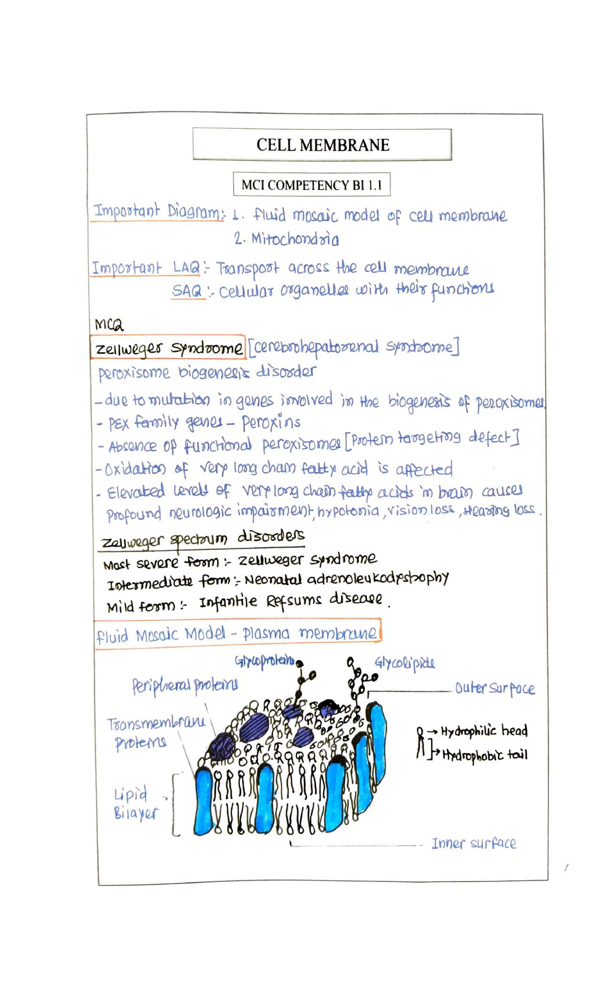 CELL MEMBRANE MCI COMPETENCY BI 1.1: Fluid Mosaic Model & Transport ...