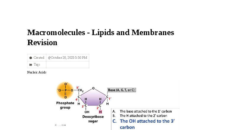 Macromolecules (BIO101) - Lipids and Membranes Revision Notes - Studocu