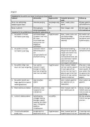 IPE-ACTA Zorgplan - ACTA IPE onderwijs uitwerking. - Zorgplan voor meneer X Subdoel Interventie ...