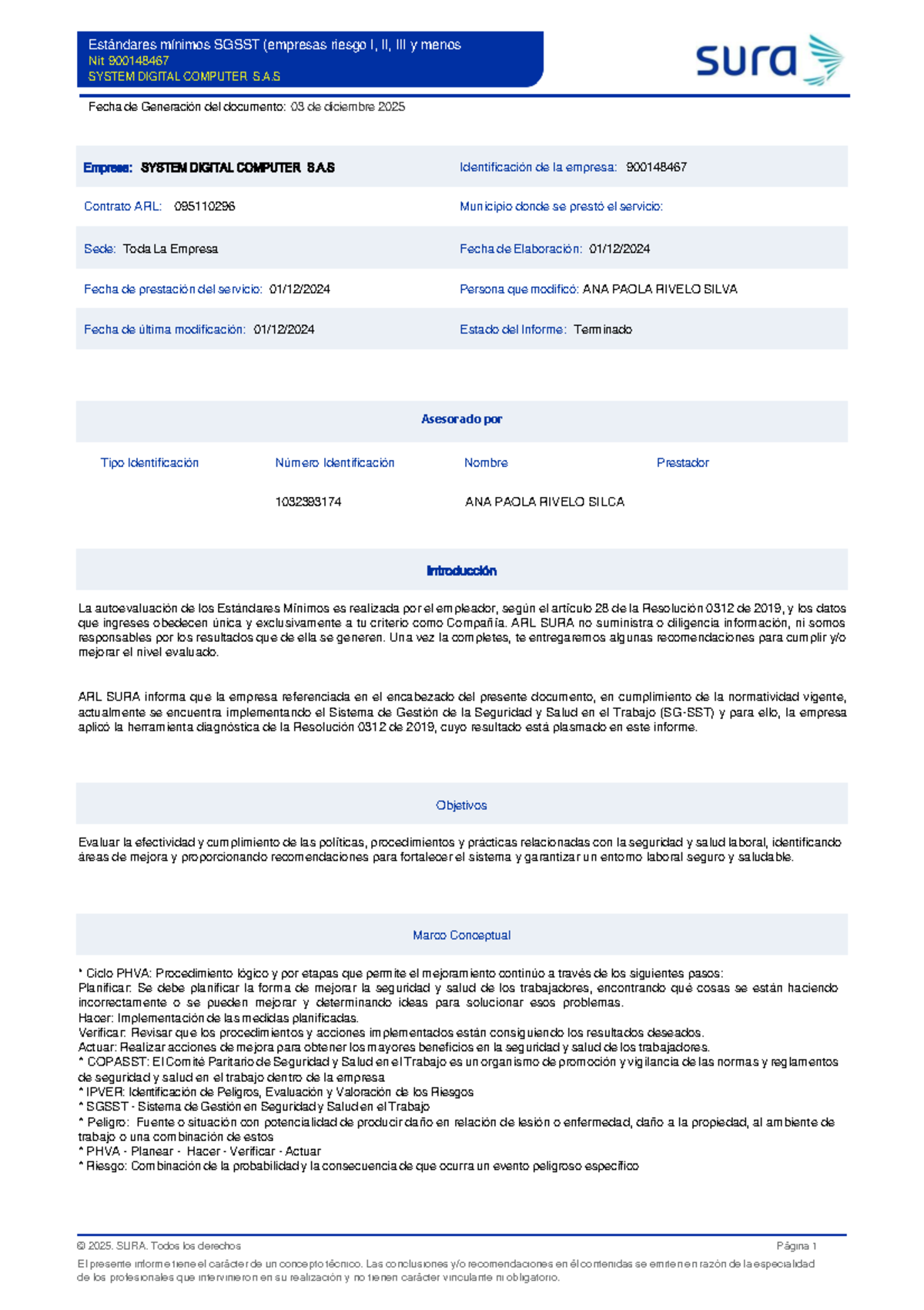 Informe de Estándares Mínimos SGSST - SYSTEM DIGITAL COMPUTER S.A.S ...