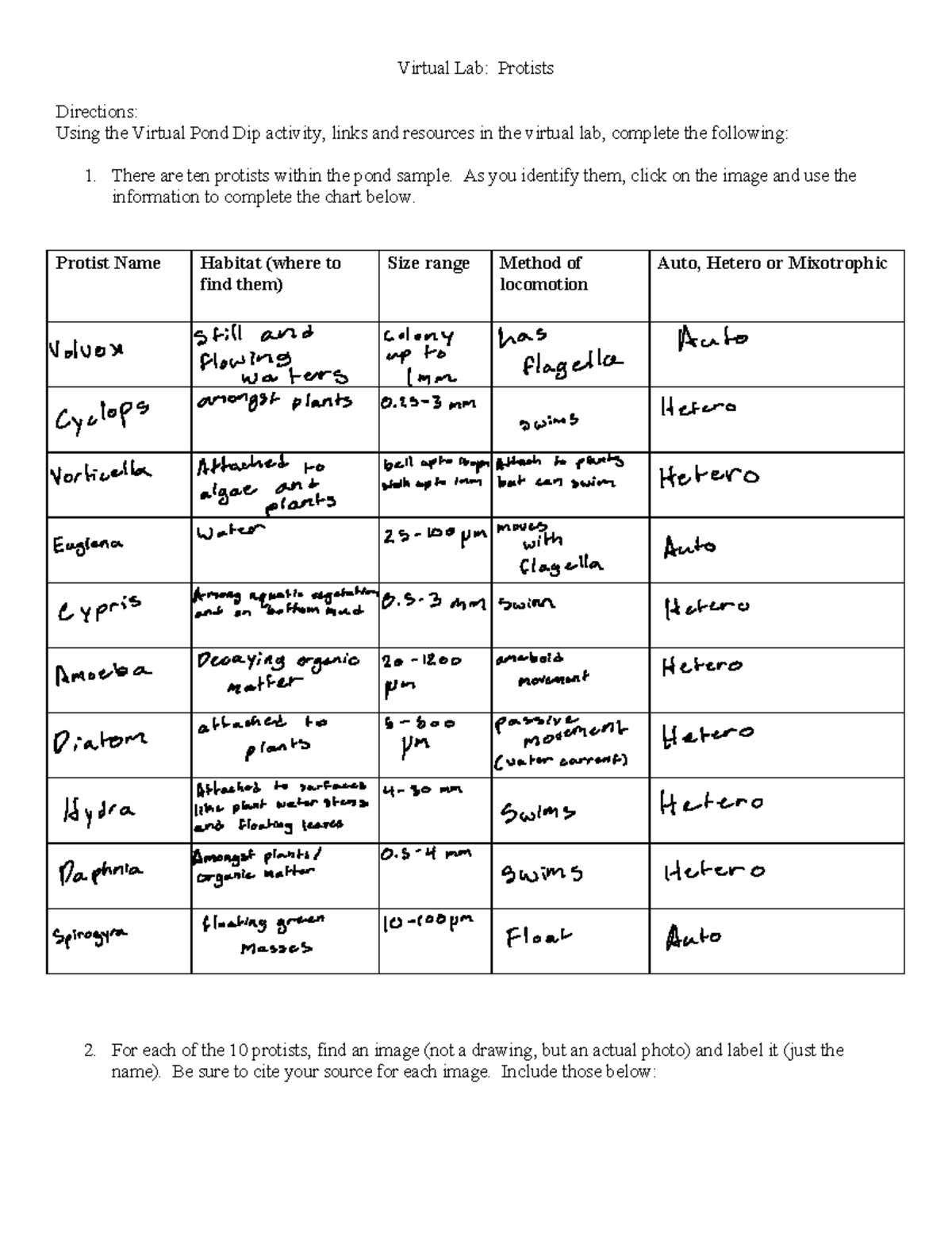 Protist virtual lab - Virtual Lab: Protists Directions: Using the ...