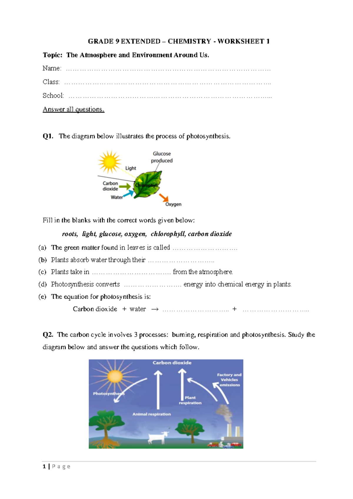 GRADE 9 CHEMISTRY WS: Photosynthesis & Carbon Cycle - Studocu